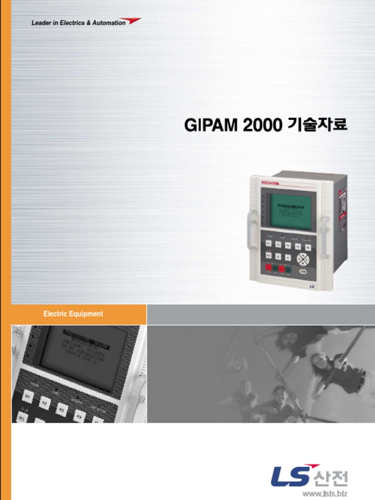 GIPAM2000 Manual PDF | PDF