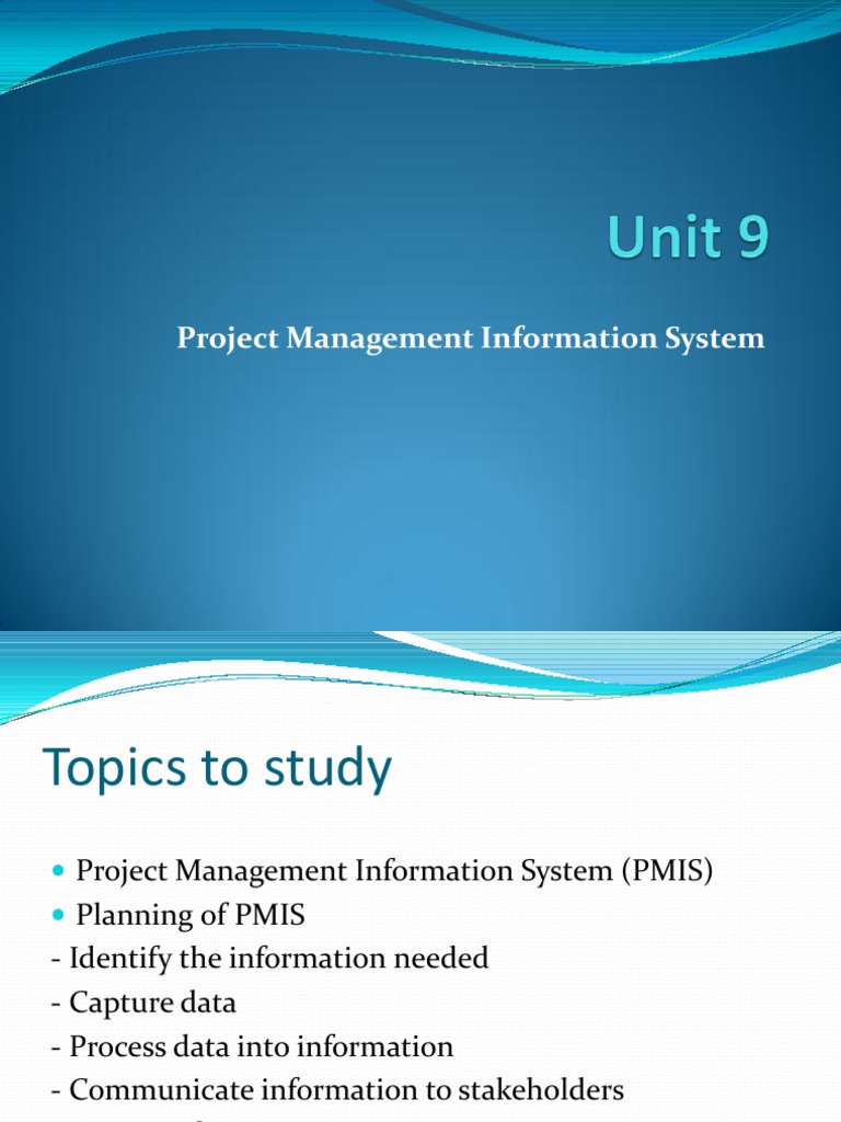 Project Management Information System | PDF | System | Information