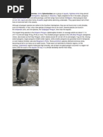 All About Penguins | PDF