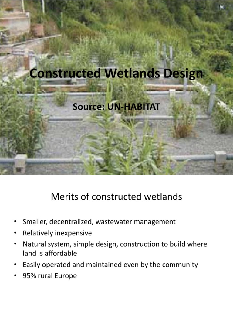 Constructed Wetland | PDF | Sewage Treatment | Wetland