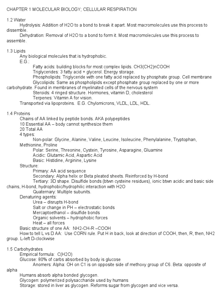 Biology Outlines | PDF | Meiosis | Virus