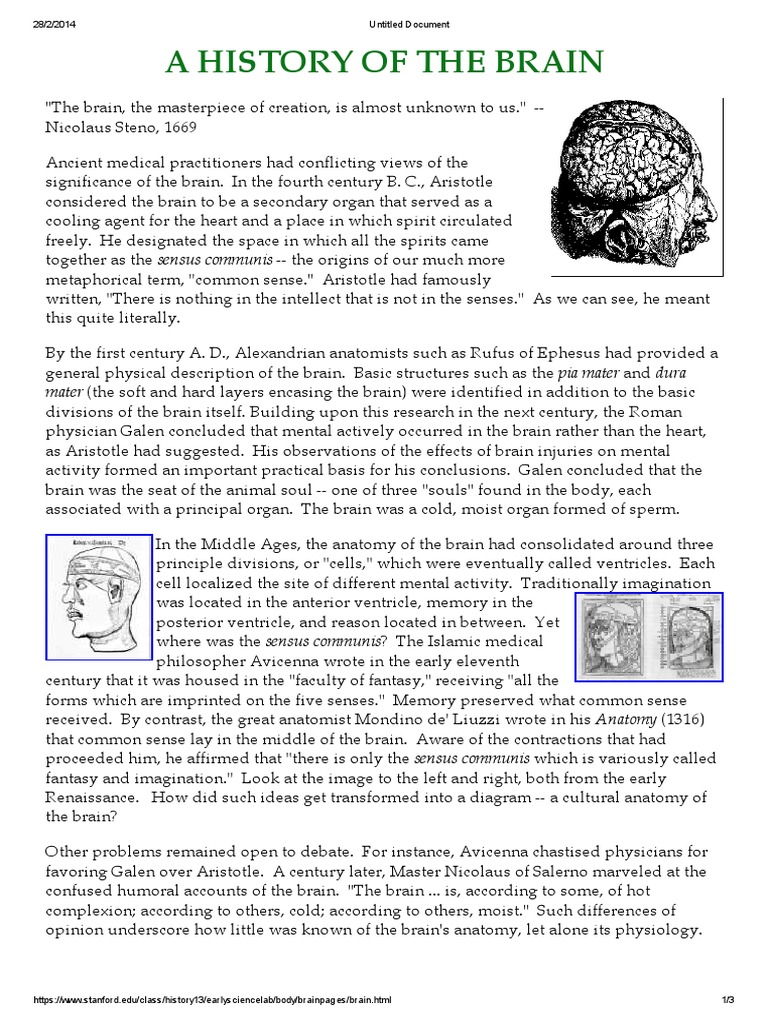 History of Brain | PDF | Common Sense | Anatomy