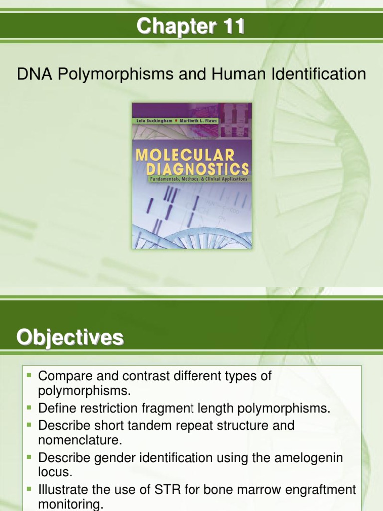 Types of DNA Polymorphisms Explained | PDF