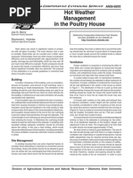 Amplifying Pattern Design | PDF