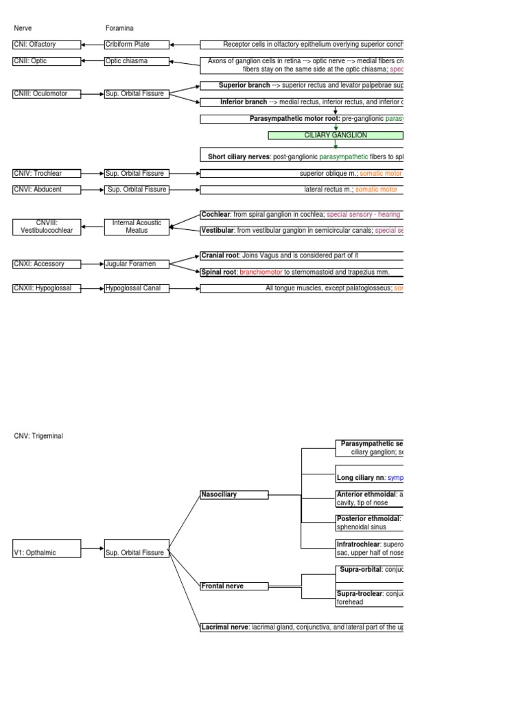 Cranial Nerves Flowchart | PDF