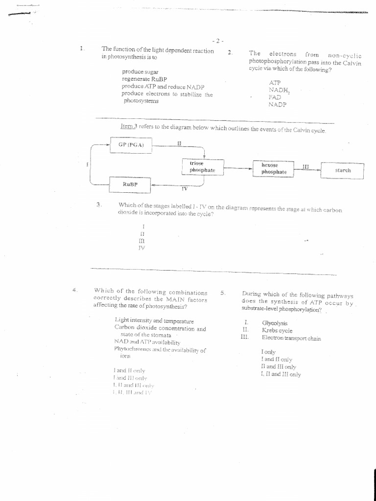 Bio MCQ Unit 2 | PDF