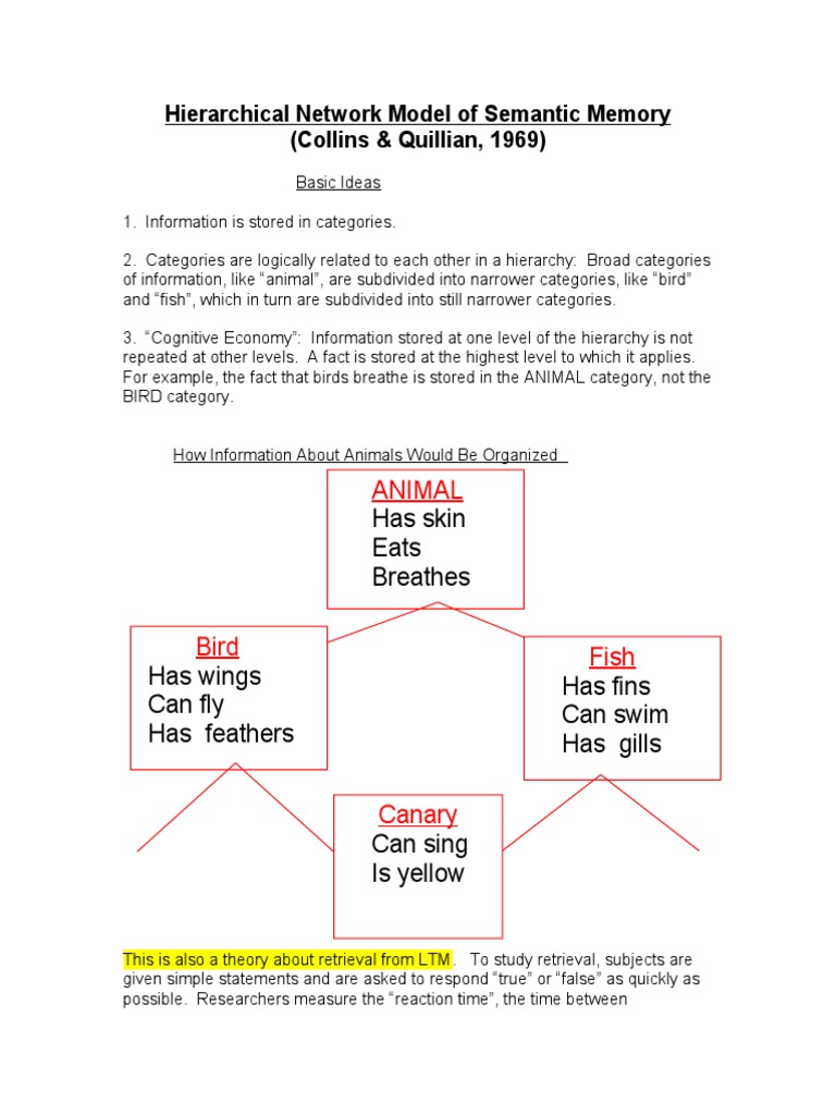 Hierarchical Network Model - C-Q | PDF | Mental Chronometry | Justification