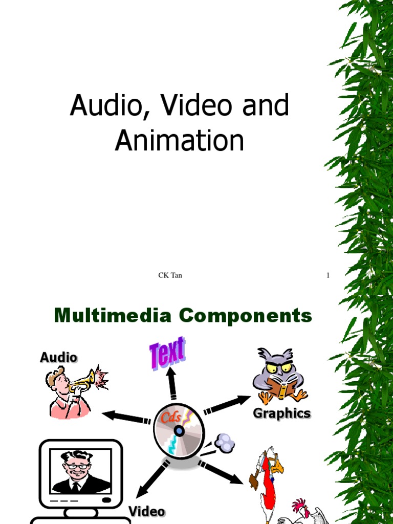 Av Animation | PDF