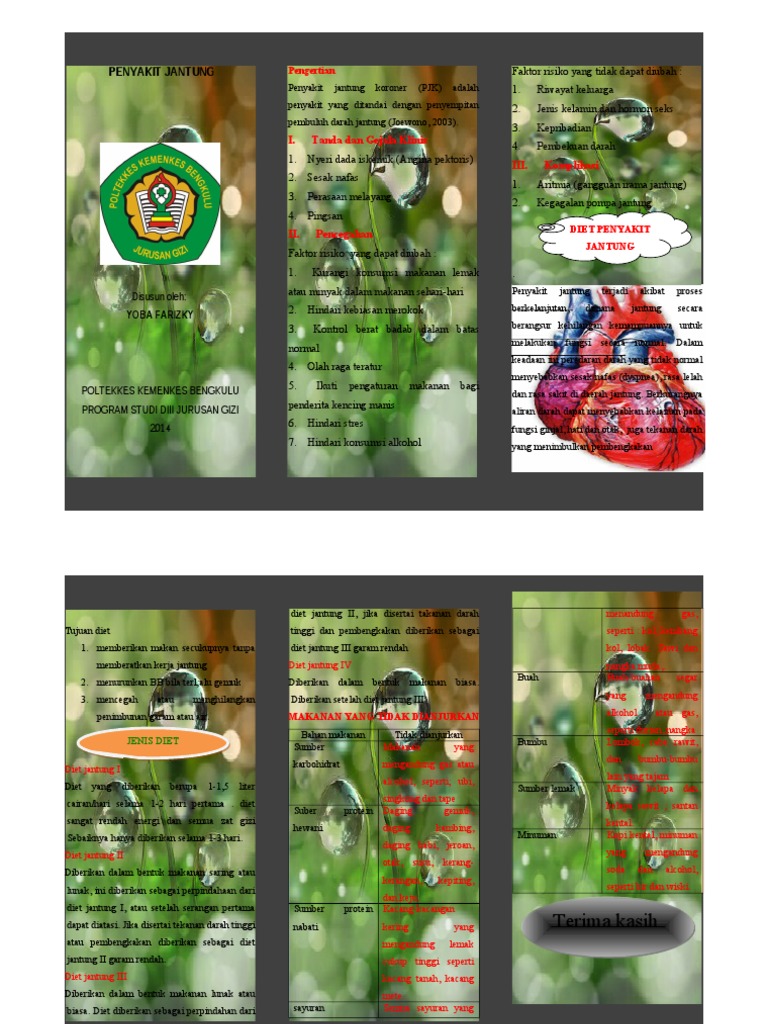 Leaflet Diet Penyakit Jantung | PDF