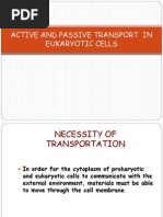 Cellular - Transport - Study - Guide - Answer Key | PDF | Osmosis ...