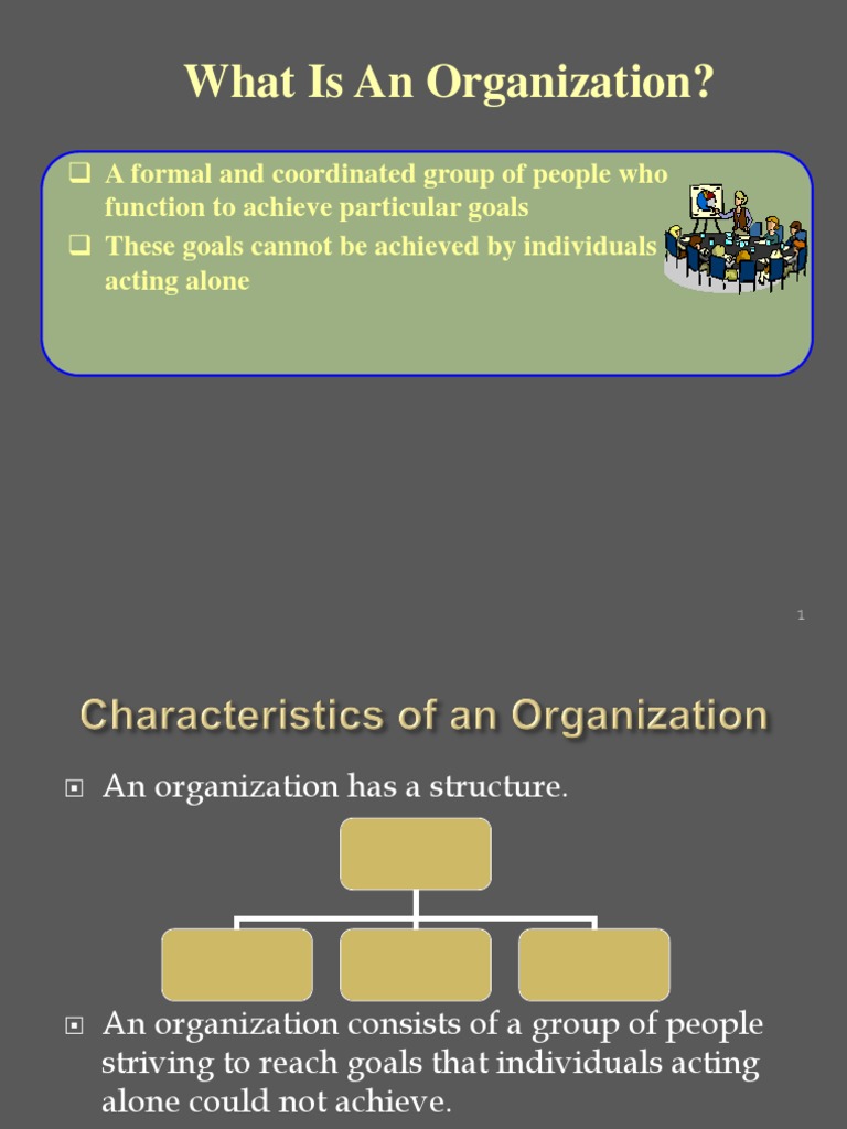 Management Basics | PDF | Goal | Strategic Management