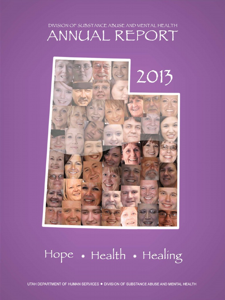 Division of Substance Abuse and Mental Health Annual Report 2013 | PDF ...