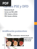 Visceras de La Res | PDF | Menudencias | Carne