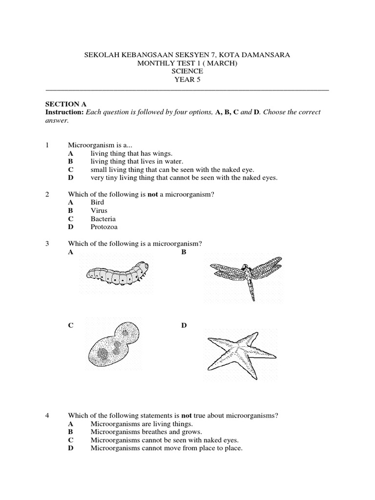 Summative Test Science Y5 SECTION A | PDF | Microorganism | Egg