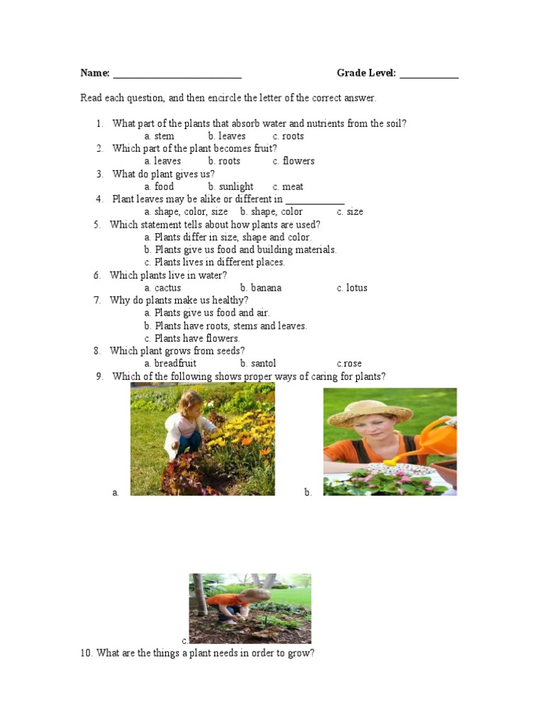 Name: - Grade Level | PDF