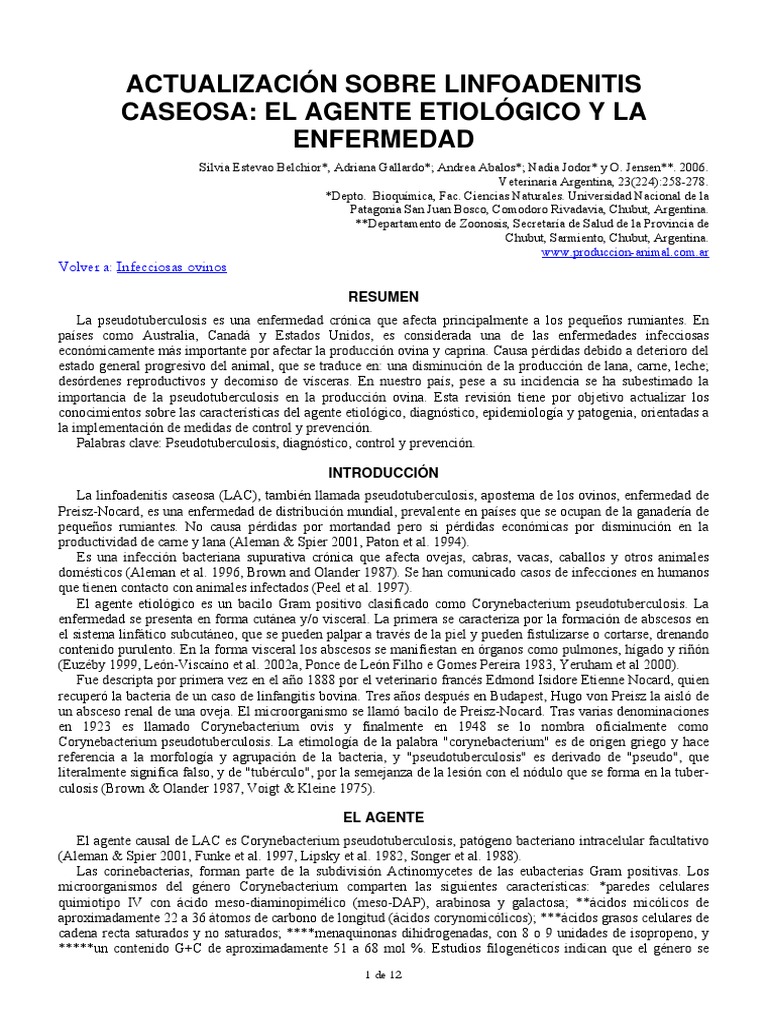01-Linfoadenitis Caseosa | PDF | Oveja | Fagocito