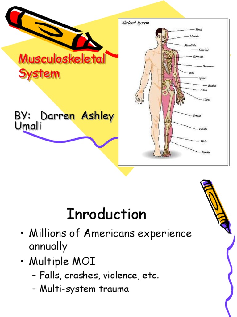 Musculoskeletal System Assessment | PDF | Anatomical Terms Of Motion ...