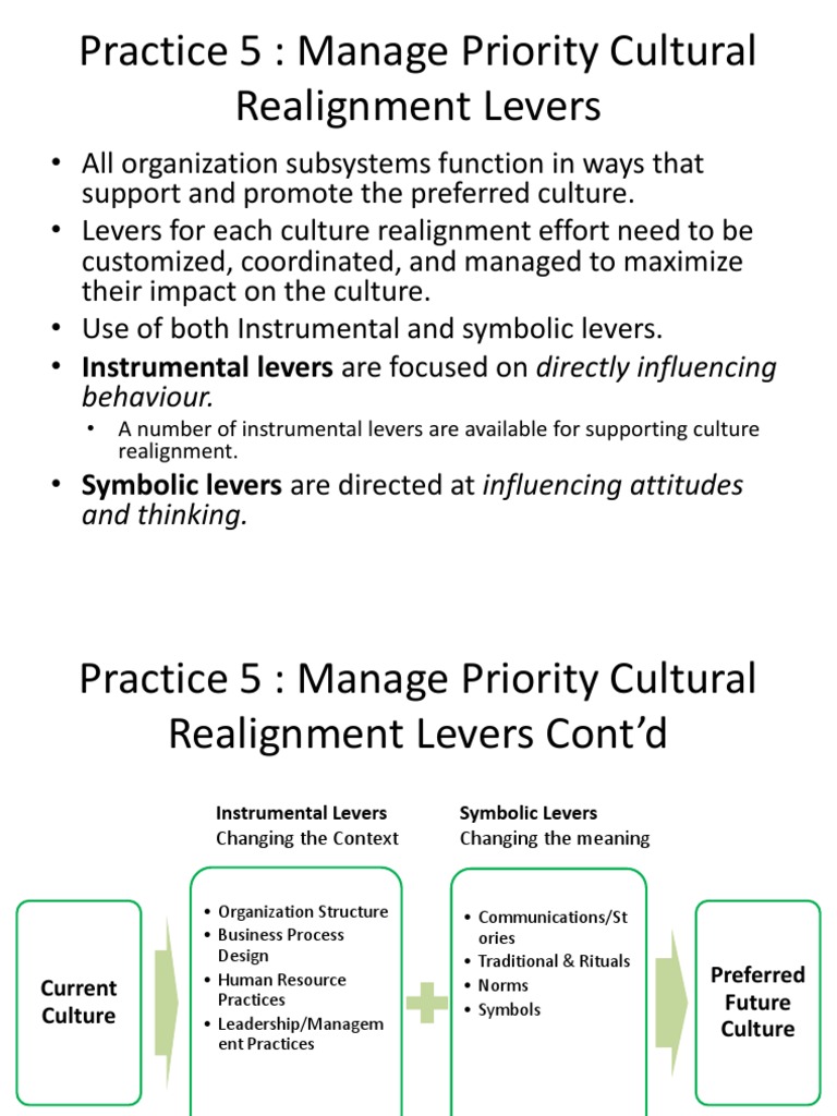 Practice 5: Manage Priority Cultural Realignment Levers: Behaviour ...