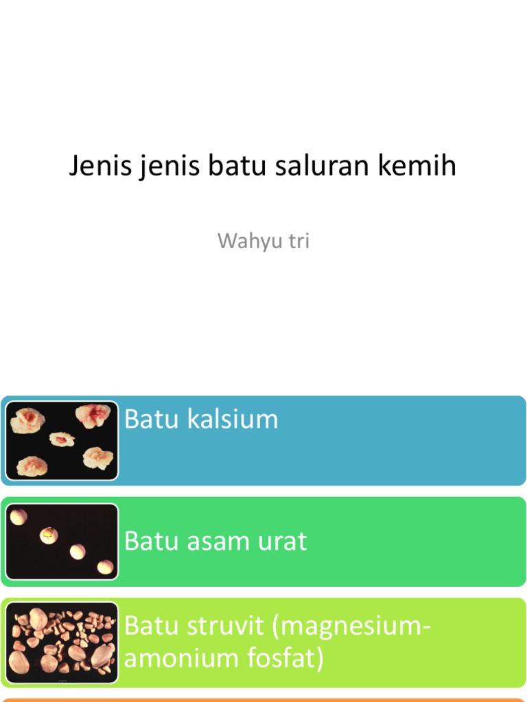 Jenis Jenis Batu Saluran Kemih | PDF