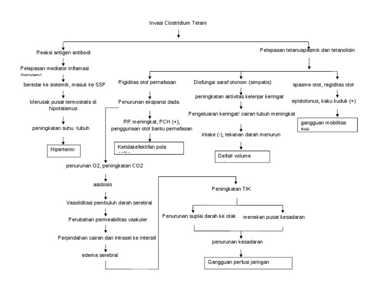 Pathway Tetanus | PDF