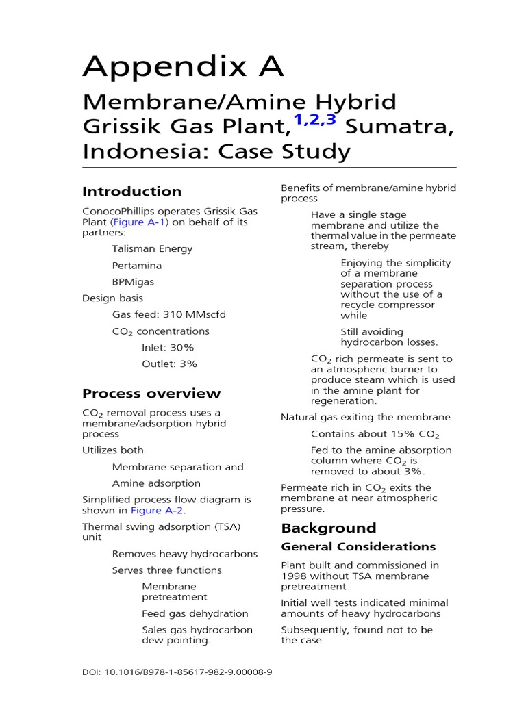 Appendix A: Membrane/Amine Hybrid Grissik Gas Plant, Sumatra, Indonesia ...