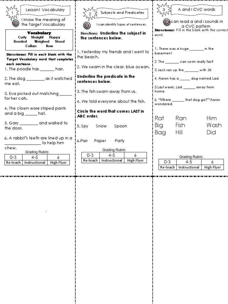 Grade 2 Vocabulary and Comprehension Assessment | PDF