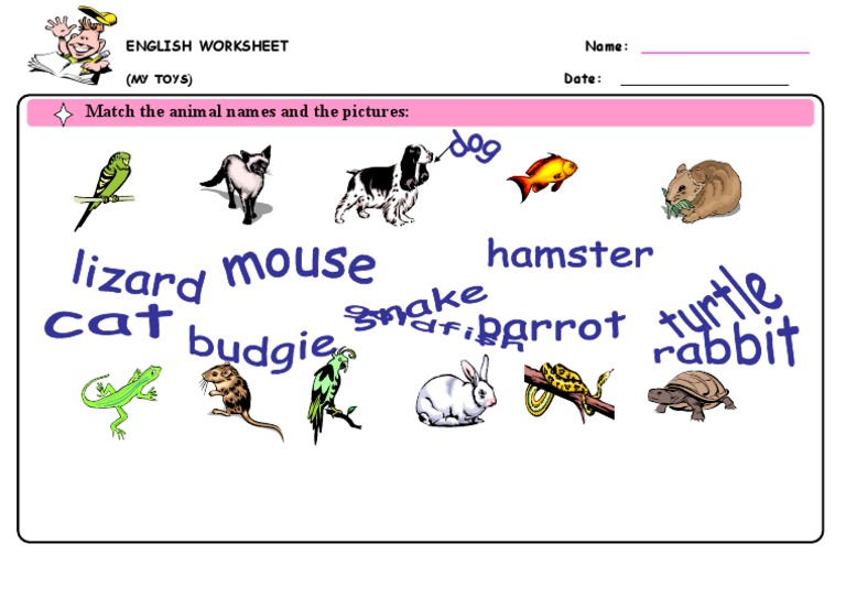 Match The Animal Names and The Pictures:: English Worksheet Name: Date ...