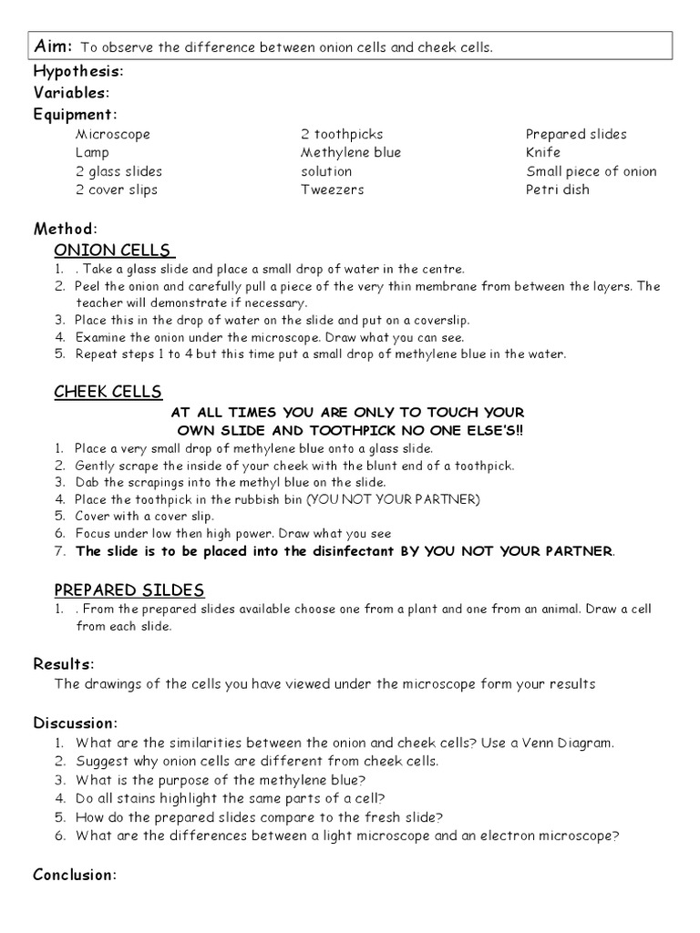 Onion vs Cheek Cell Experiment Report | PDF | Experiment | Hypothesis