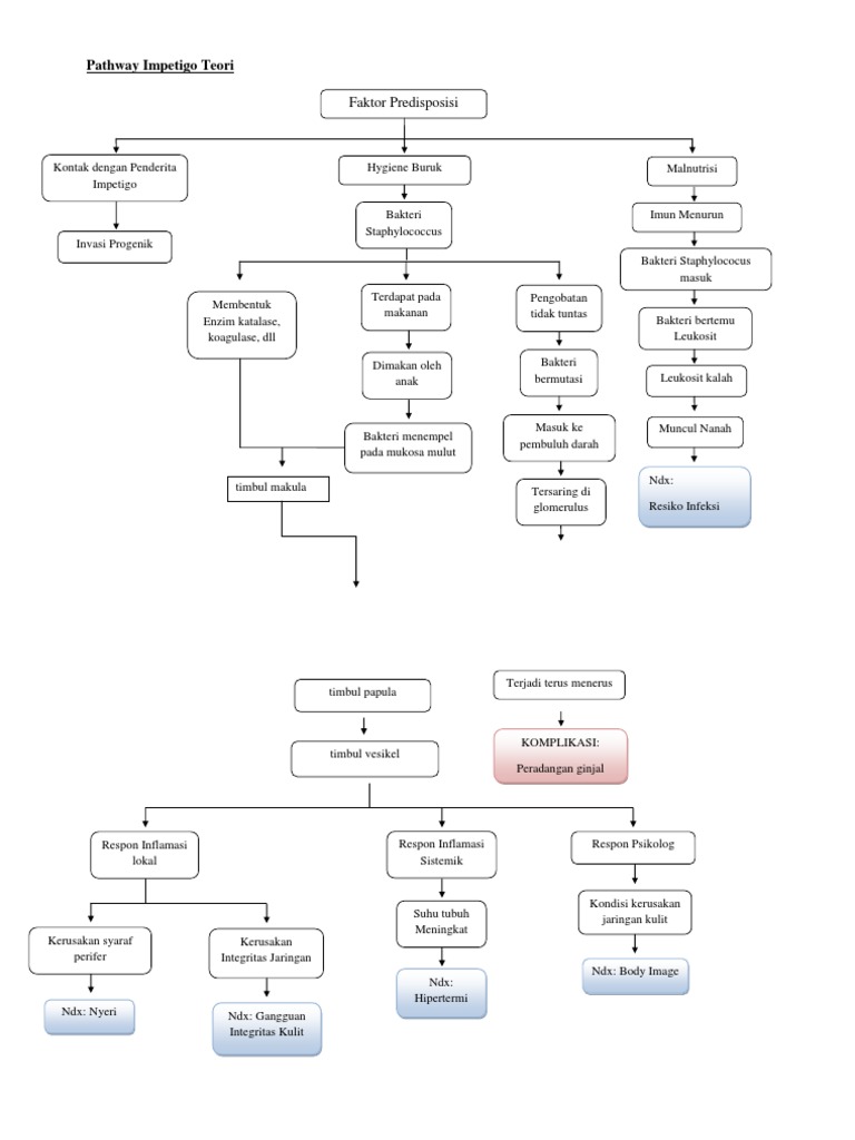 Pathway Teori Impetigo
