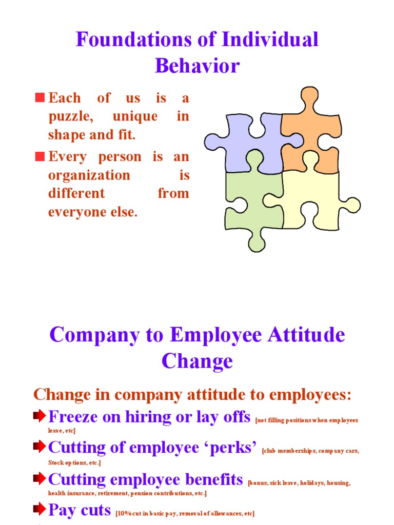 Foundations of Individual Behavior | PDF | Attitude (Psychology ...