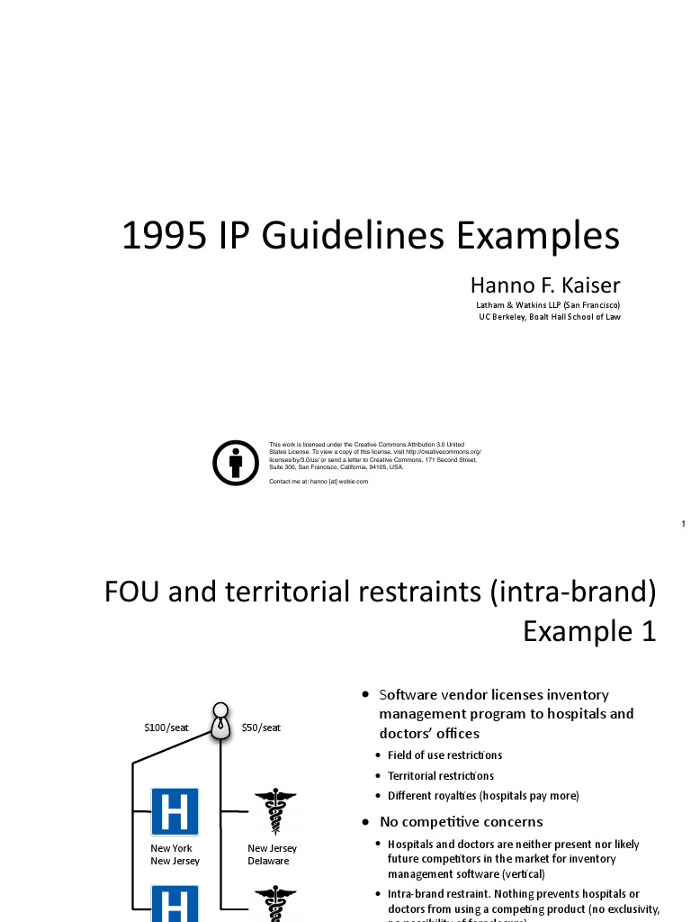 1995 IP Guidelines Examples | PDF | License | Research And Development
