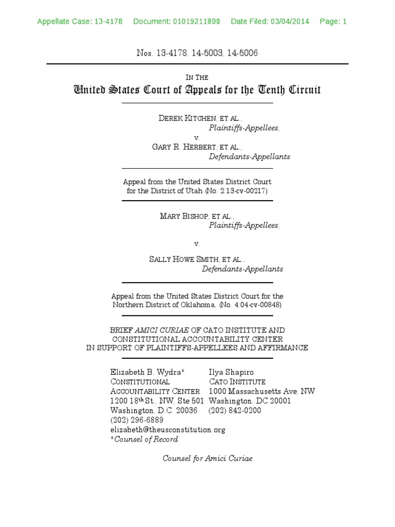Cato Institute Amicus Brief in Amendment 3 Appeal | PDF | Legal ...