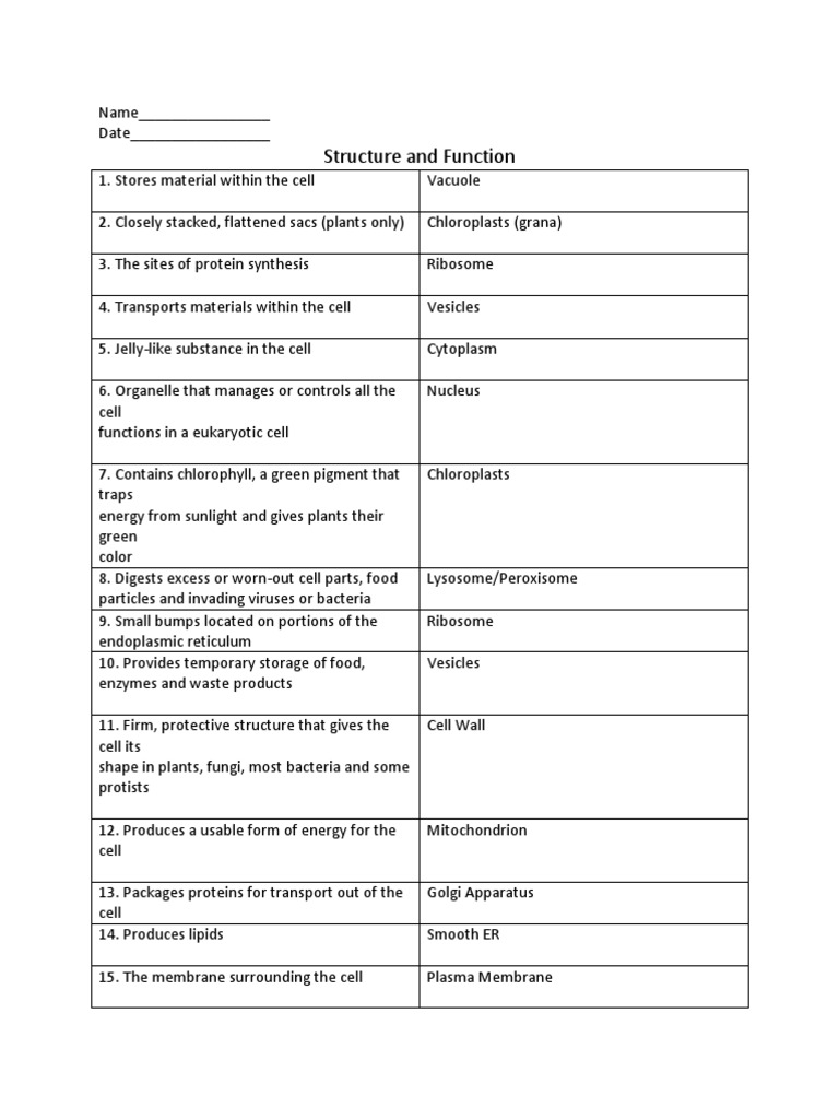 Lesson Plan Activity Sheet | PDF | Endoplasmic Reticulum | Cell (Biology)