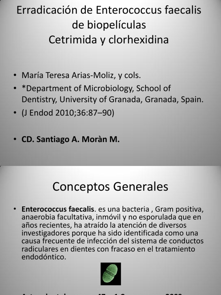Erradicación de Enterococcus Faecalis de Biopelículas | PDF | Las bacterias | Antibióticos