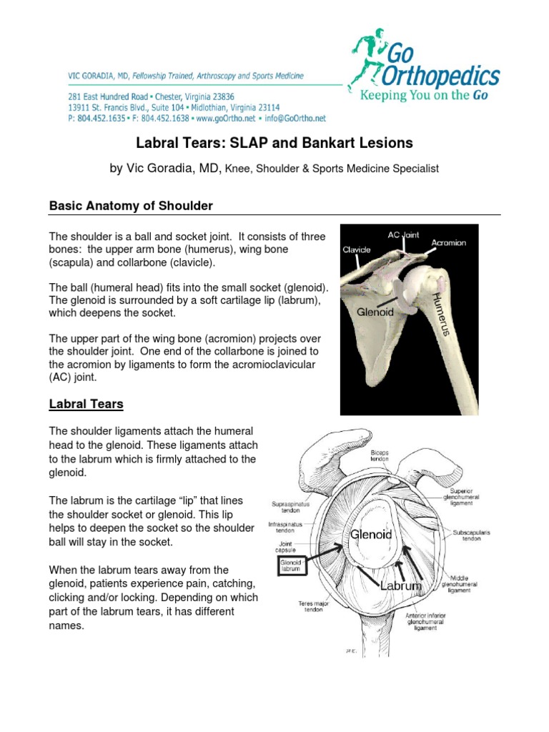 Slaplesions Bankart Labral Tears | PDF