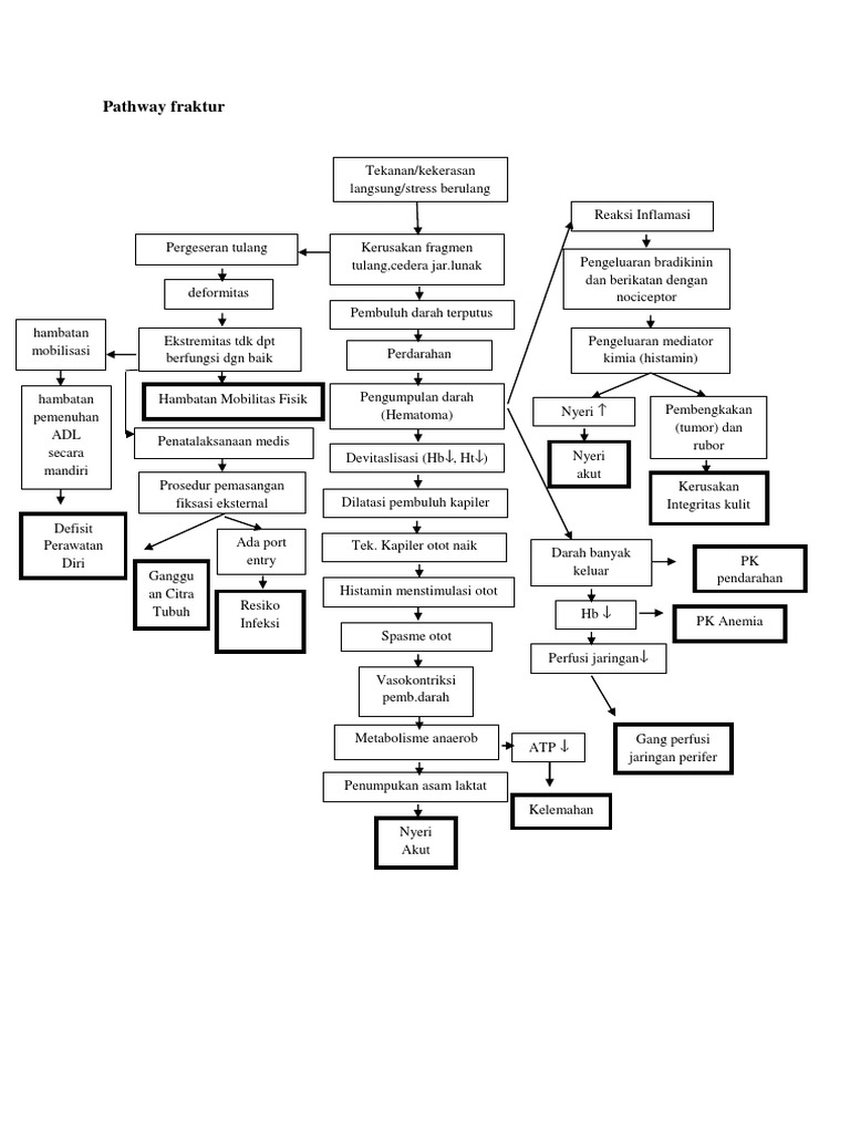 Pathway Fraktur | PDF