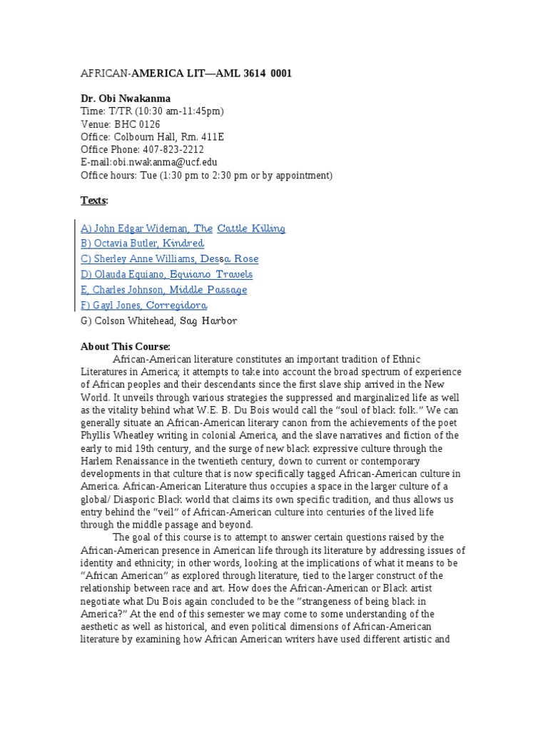 African American Lit (AML 3614) Syllabus Spring 2013 | PDF | Essays ...