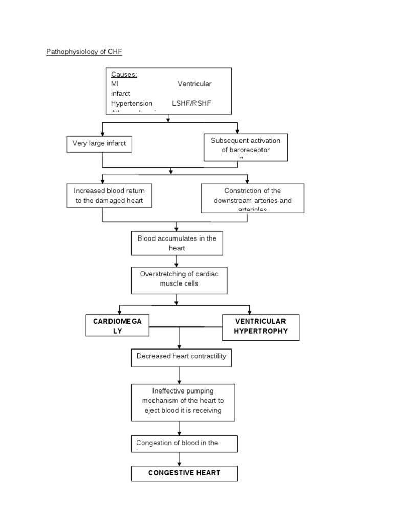 Pathophysiology of CHF | PDF
