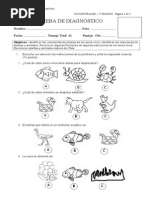 Evaluación de Diagnostico Lenguaje Segundo Año Básico | PDF