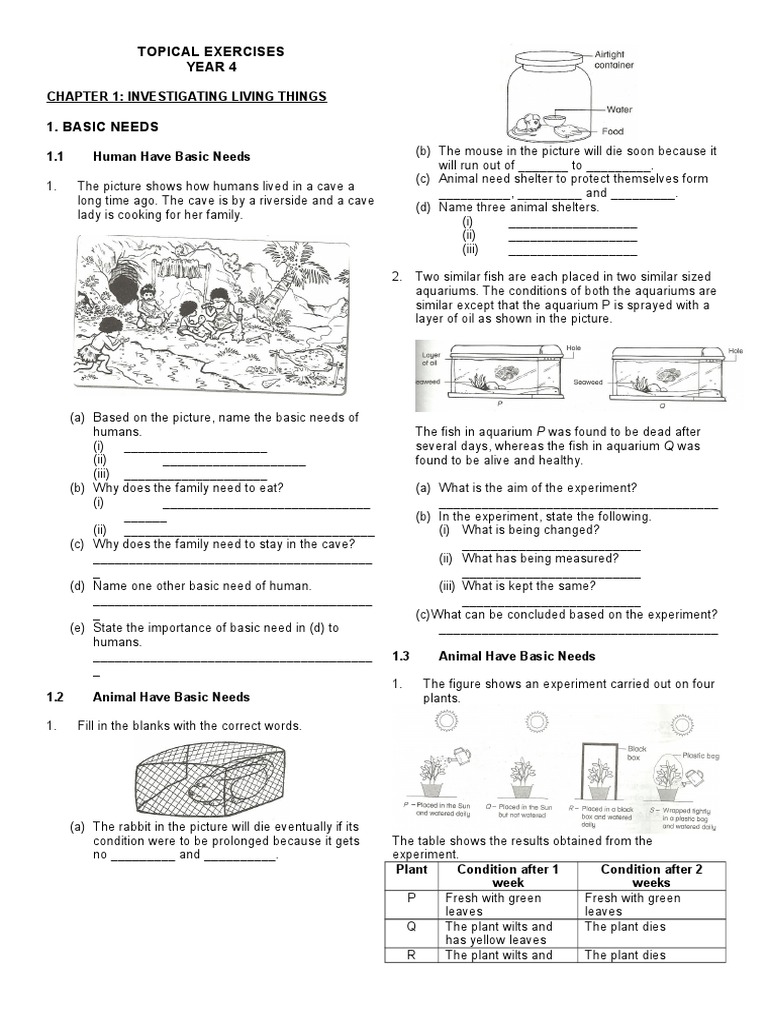 Topical Exercises Year 4: Chapter 1: Investigating Living Things | PDF ...