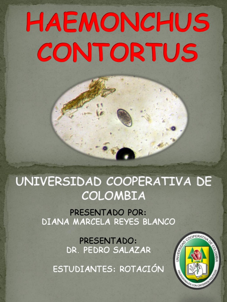 Haemonchus contortus: Ciclo y Control | PDF | Oveja | Nematodo