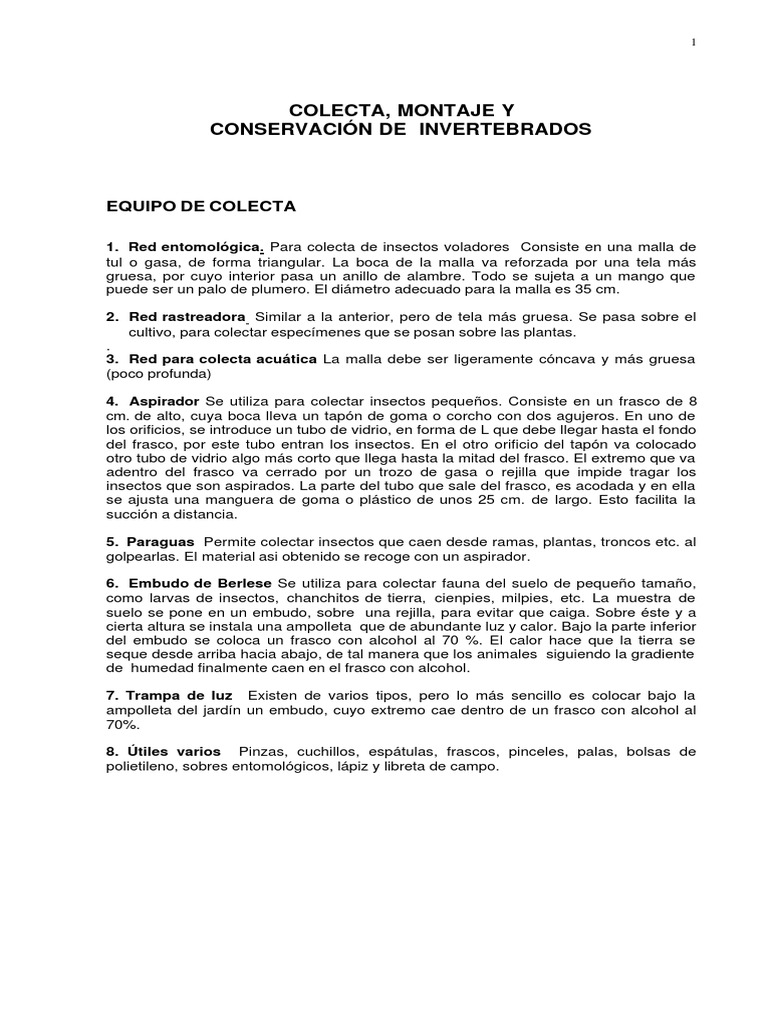 Colecta Montaje y Conservacion de Invertebrados | PDF | Insectos ...