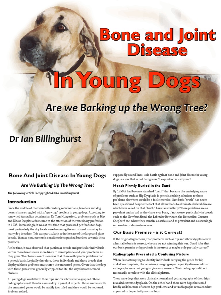 Bone and Joint Disease in Young Dogs | PDF | Dogs | Genetics