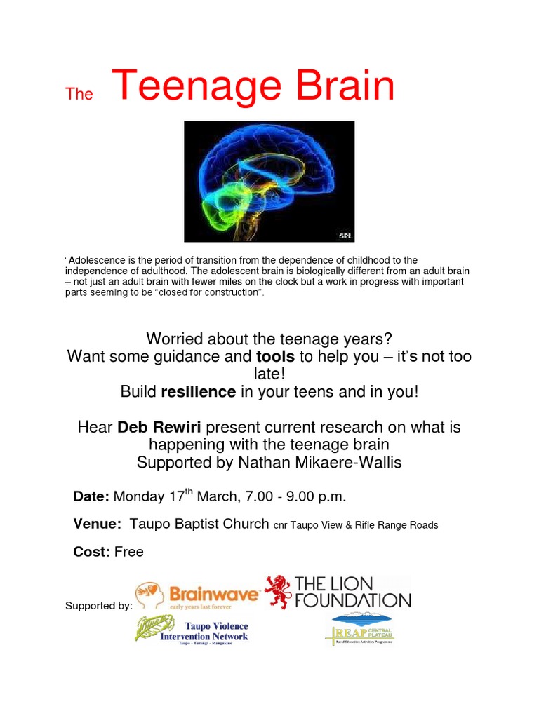 The Teenage Brain 14 | PDF | Wellness