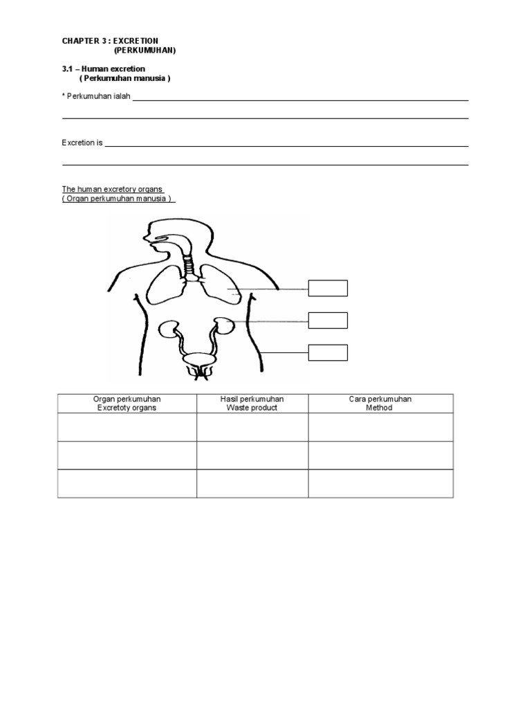 Chapter 3 Science Form 3 | PDF