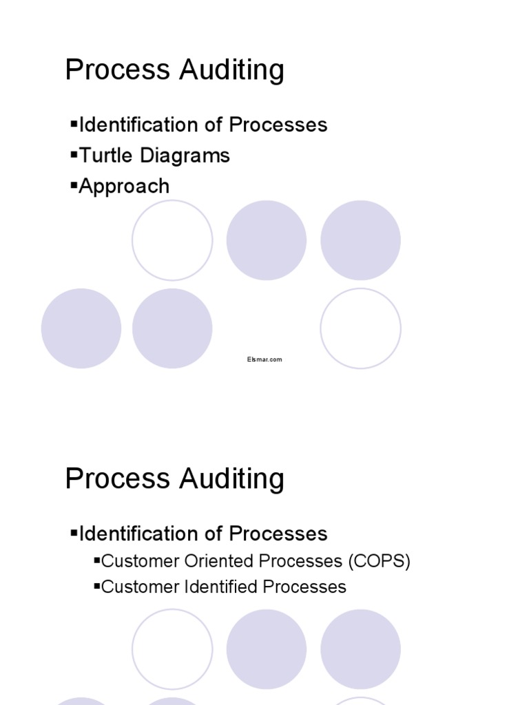 Process Auditing | PDF | Audit | Verification And Validation