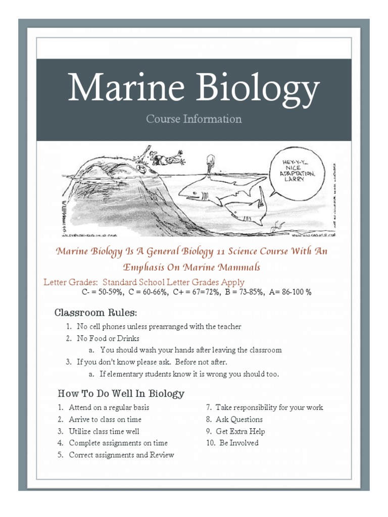 Marine Outline | PDF
