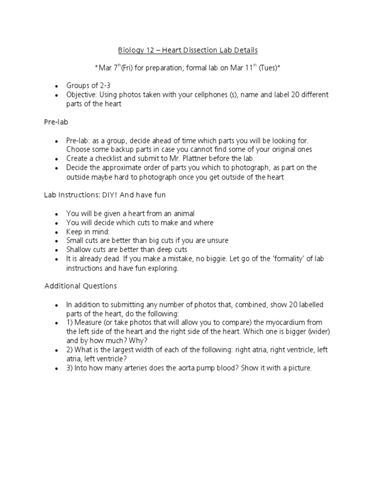 Heart Dissection Lab Guide | PDF | Wellness