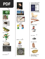 Vestimenta de La Cultura Xinca | PDF | Ropa | Falda