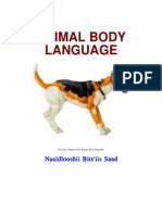 Cat FAS and Frustration Management Guide | PDF